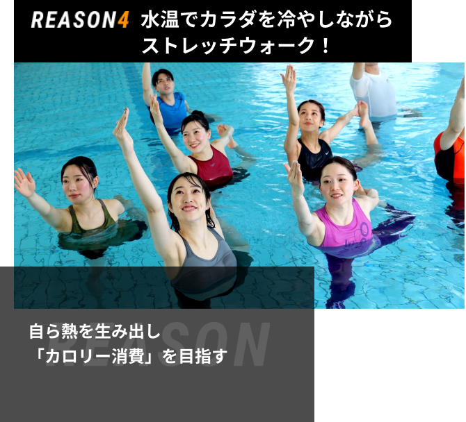 MOVEBODY AQUA | フィットネスクラブ ティップネス